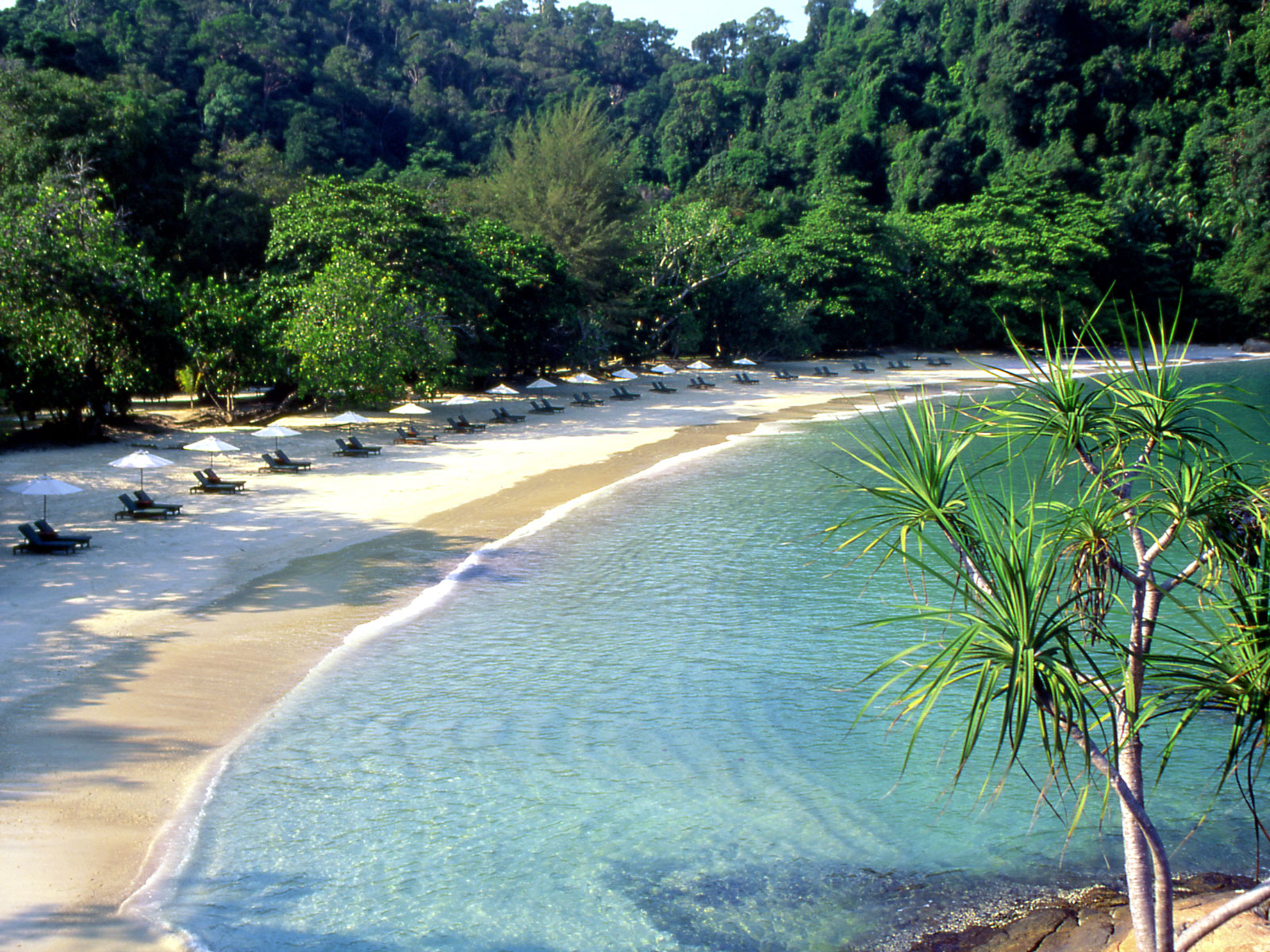 West-Maleisië natuurparken en bountyeiland - Rondreizen | Rama Tours